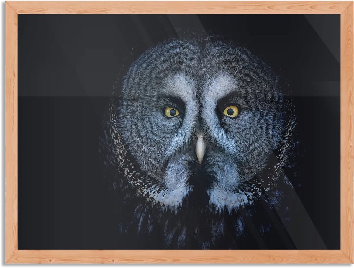 Poster Uil Hoofd Close Up Rechthoek Horizontaal Met Lijst XL (70 X 50 ...