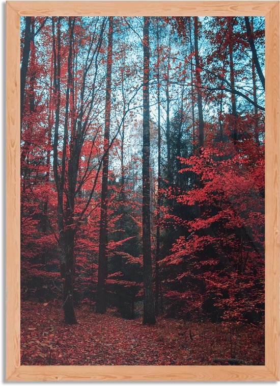 Poster Het rode bos Rechthoek Verticaal Met Lijst L (40 X 50 CM) - Hout ...