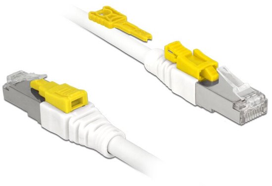 Delock CAT 6a kabel met vergrendelbare pluggen, 3 meter | bol