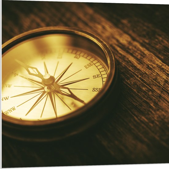 PVC Schuimplaat - Kompas - Noord - Oost - Zuid - West - Goud - Hout ...