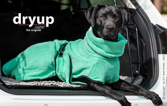 Dryup-Cape-hondenbadjas-hondenjas-Badjas hond-Mint-M-48cm | bol