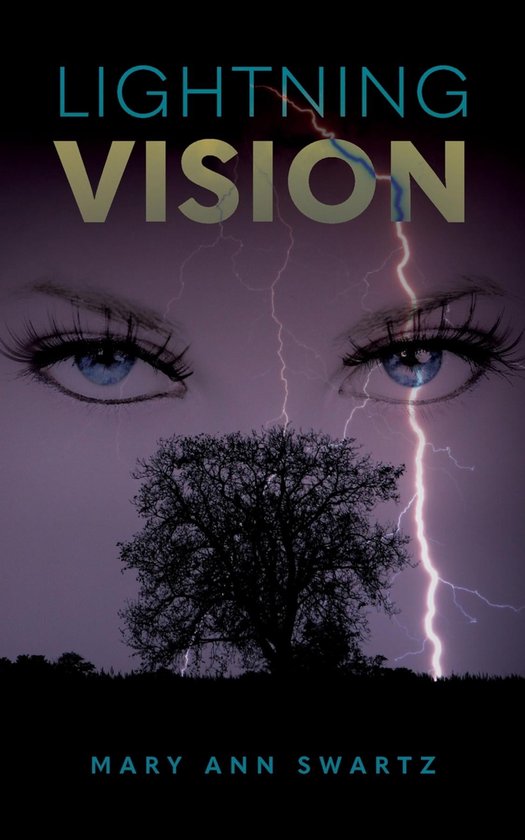 Lightning Vision (ebook), Mary Ann Swartz | 9798822934696 | Boeken | bol