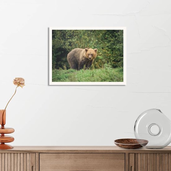 Poster De Beer Tussen Het Groen Rechthoek Horizontaal Met Lijst XL (70 ...