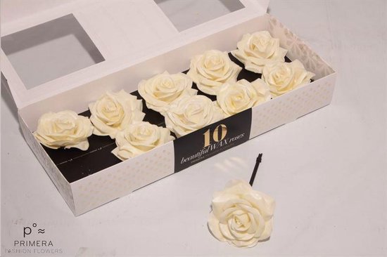 DutchFlowers - Boeket - 20x Germini springtime 70cm | bol