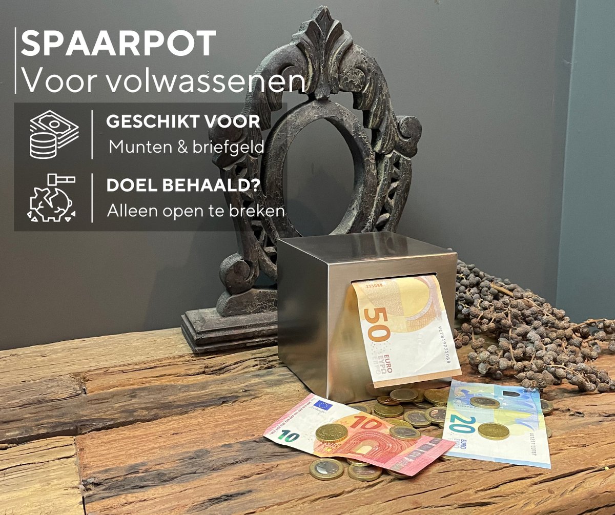 Thuiser Spaarpot Volwassenen - Voor Munten & Briefgeld - Grijs | bol