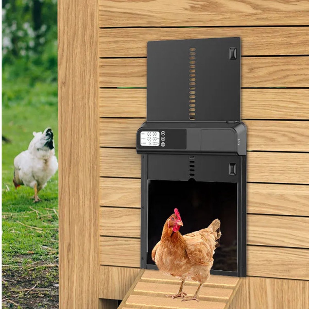 TrendyTech Kippenluik - Automatisch Kippenluik met Timer - Chickenguard ...