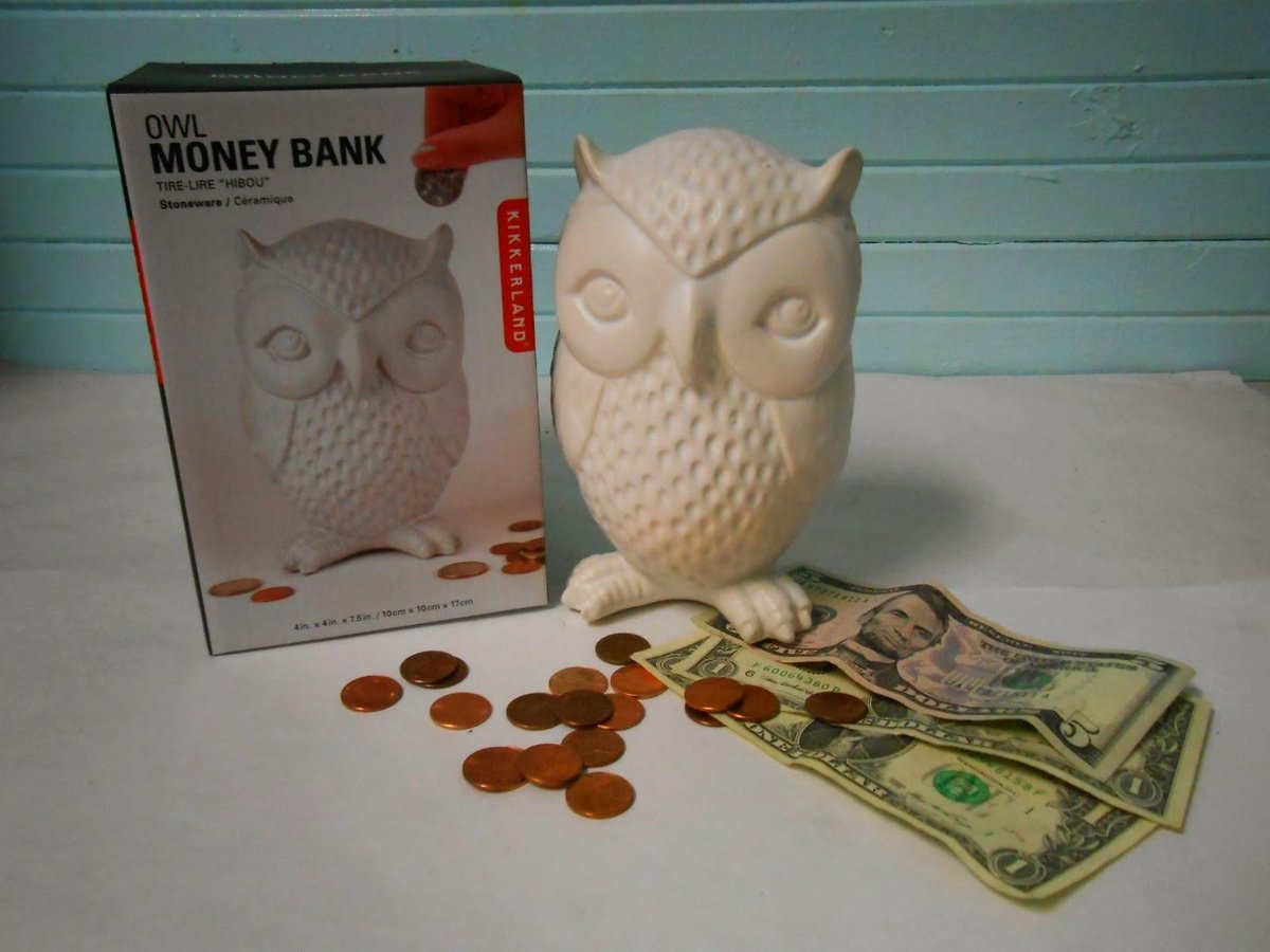 Owl Money Bank | bol.com