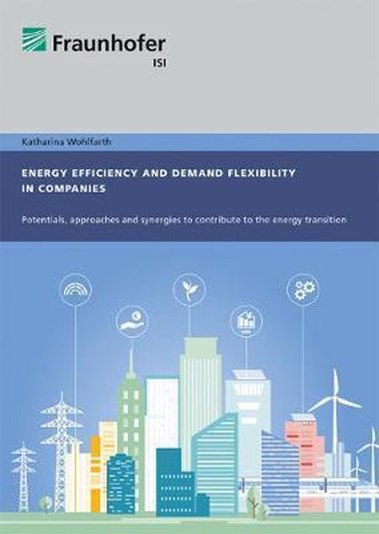Energy efficiency and demand flexibility in companies. | 9783839615010 ...