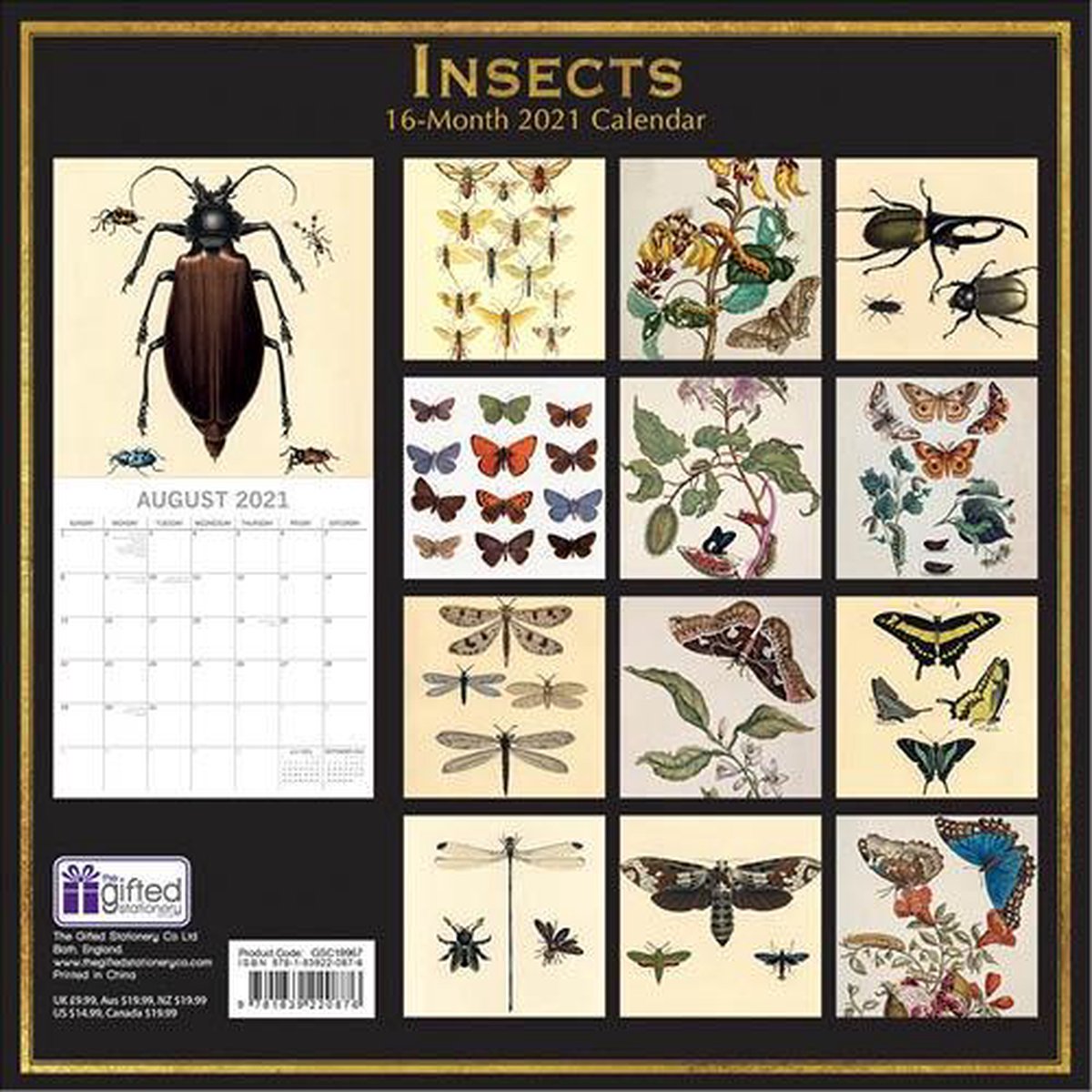 Insects Kalender 2021 (formaat 30x30) | bol.com