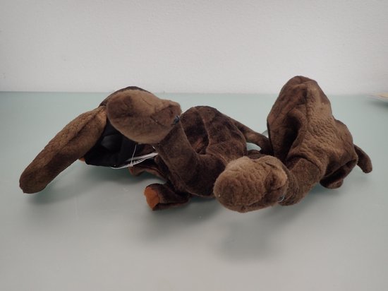 Handpop dinosaurus set (3 stuks) | bol.com