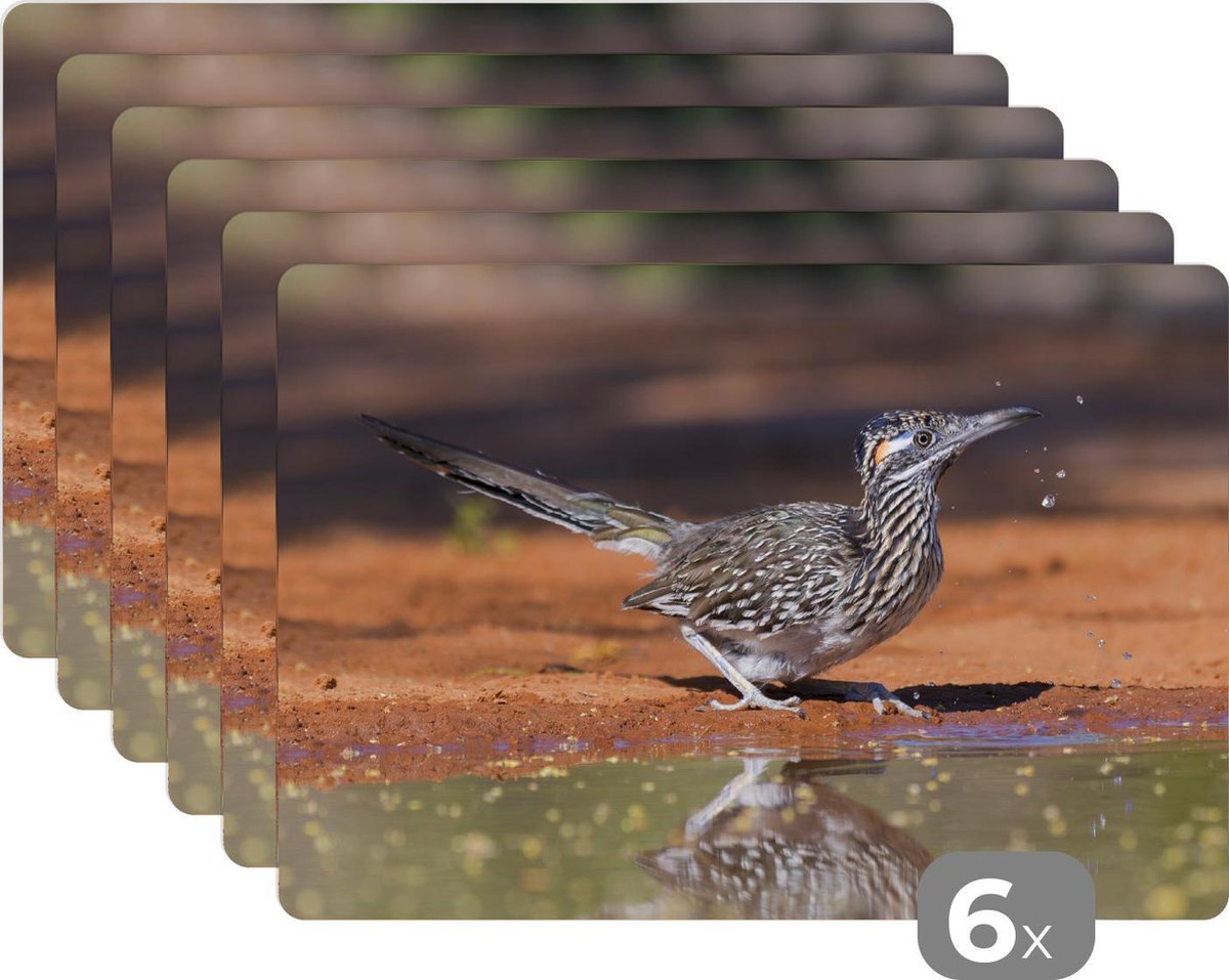 Set de table - Roadrunner assoiffé au bord d'un étang - 45x30 cm - 6 ...
