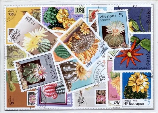 Cactussen – Luxe postzegel pakket (A6 formaat) : collectie van 50 ...