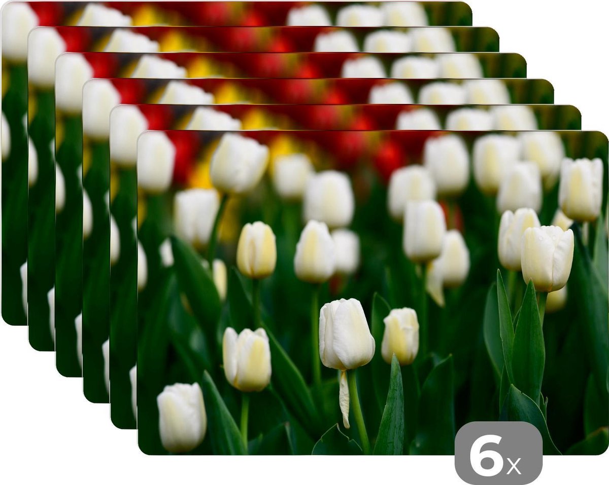 Set de table - Tableau rempli de nombreuses tulipes blanches - 45x30 cm ...