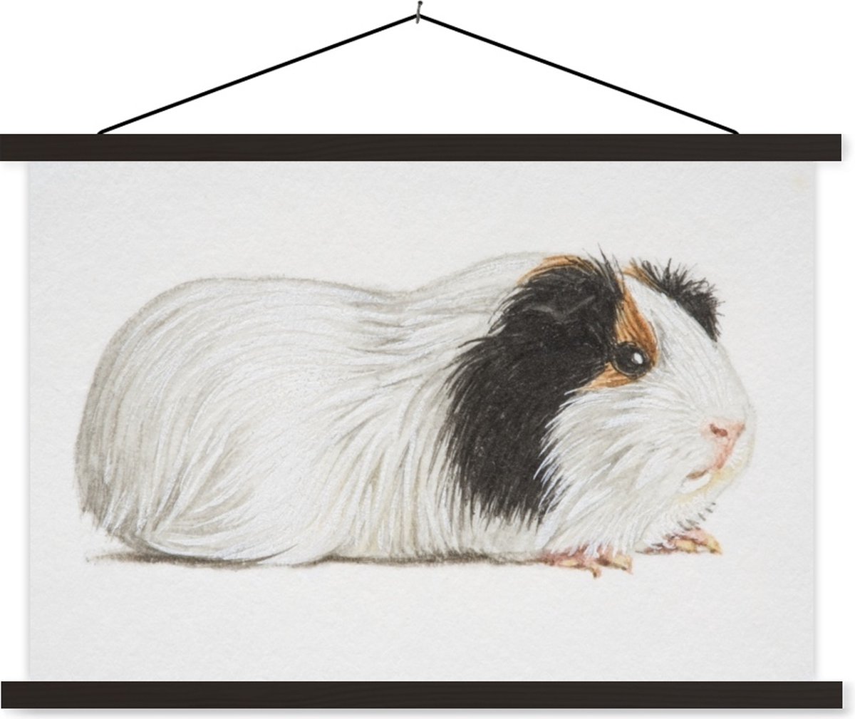 illustration d'un cochon d'inde avec des taches sombres affiche ...