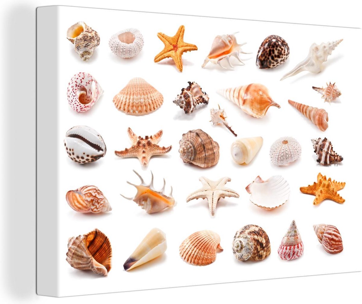Canvas Schilderij Schelpen - Strand - Collage - 60x40 cm ...