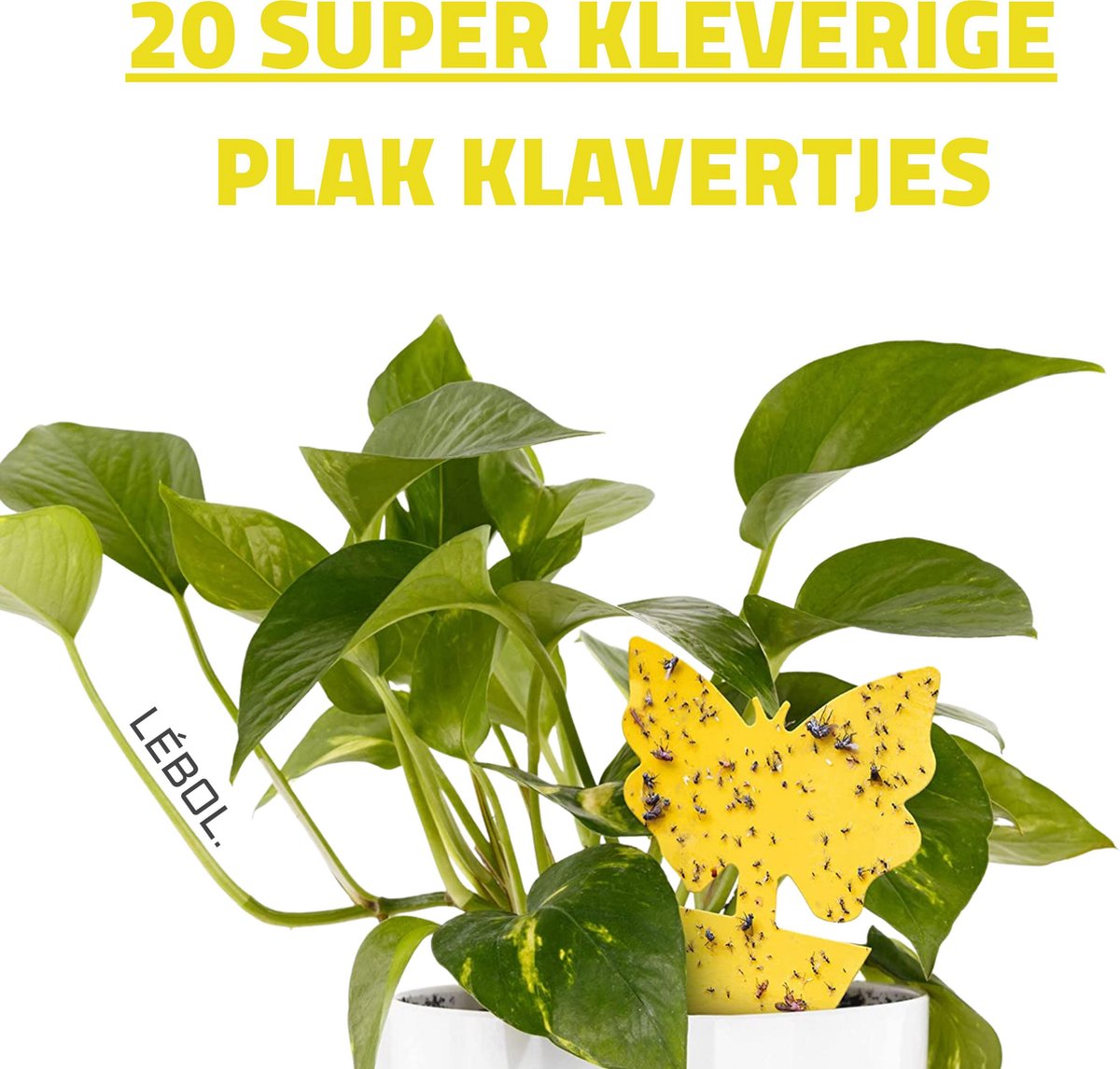 Rouwvliegjes bestrijden 20 stuks - Insectenvanger - Lijmval ...