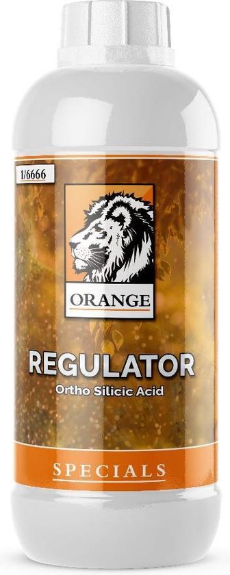 Orange SPECIAL REGULATOR 1L | bol