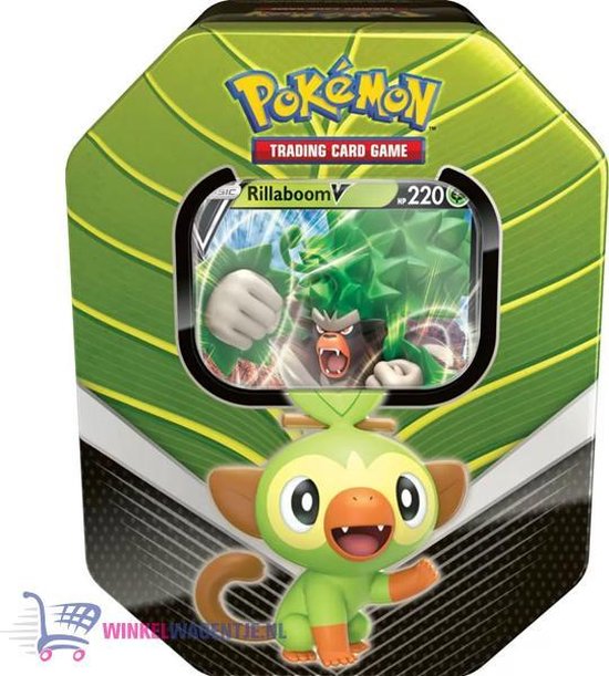 Pokémon Kaarten (40stuks) Galar Spring Tin - Grookey Rillaboom V + 5 ...