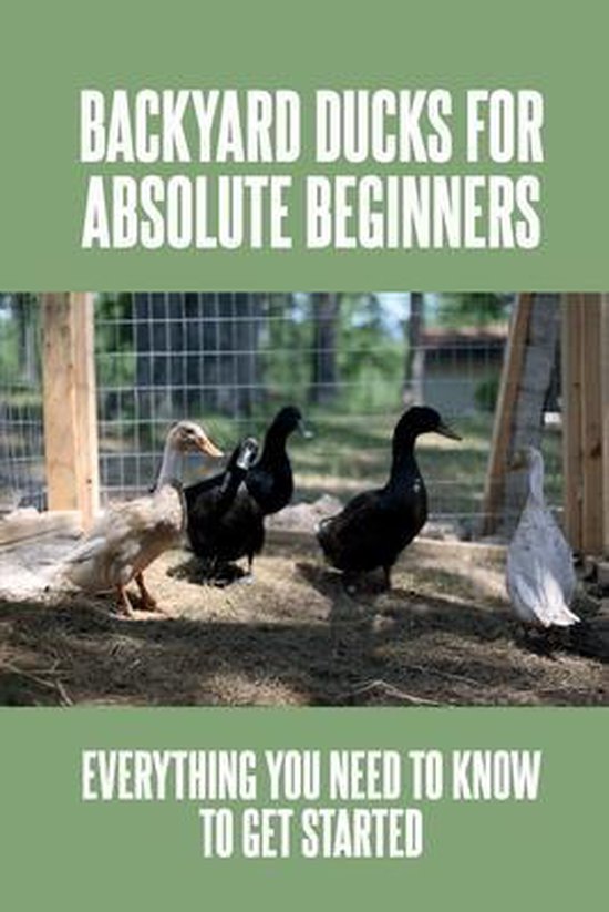 Backyard Ducks for Absolute Beginners, Jim Bunting | 9798452244202 ...