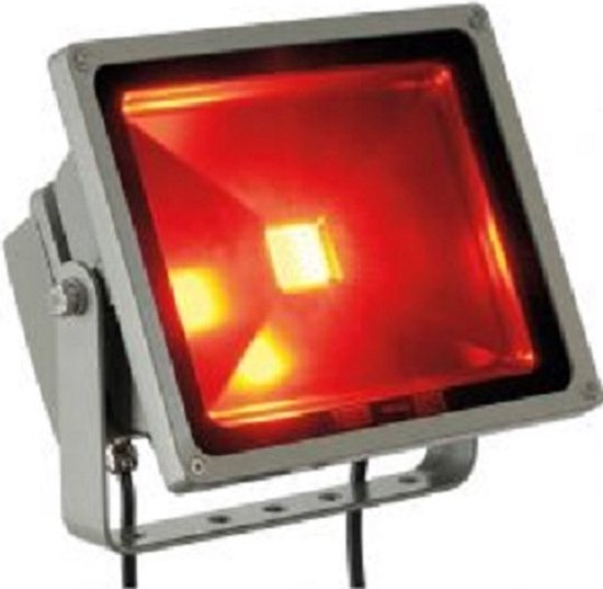 LED Bouwlamp / Schijnwerper - Rood - 30 Watt | bol
