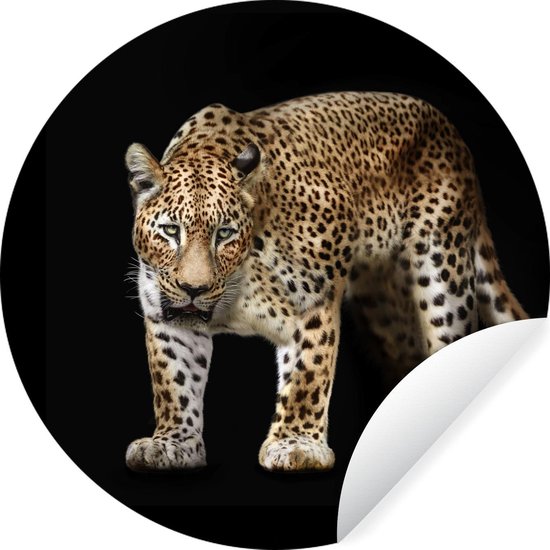 WallCircle - Muurstickers - Behangcirkel - Luipaard - Vacht - Wild - 80x80 cm -... | bol