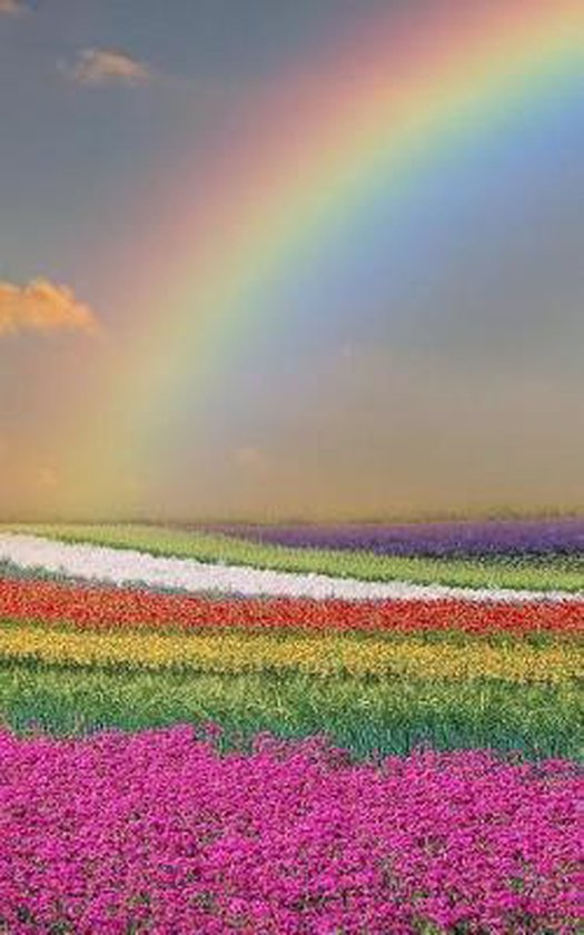 Notebook, Wild Pages Press | 9781074852351 | Boeken | bol.com