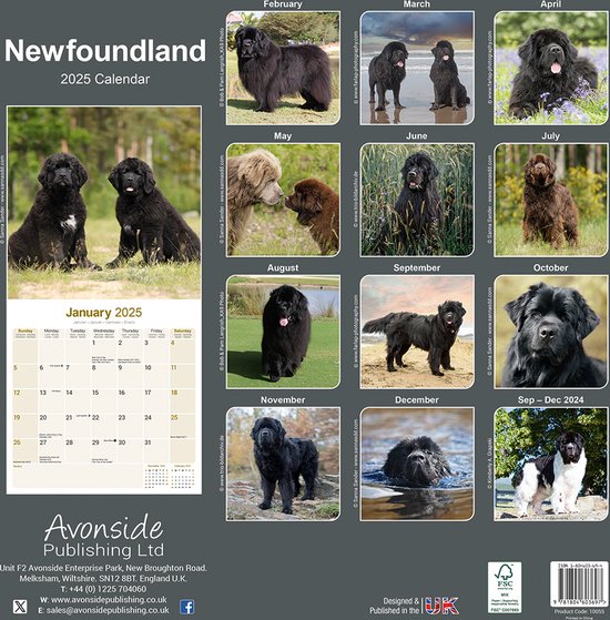 Newfoundlander Kalender 2025 | bol