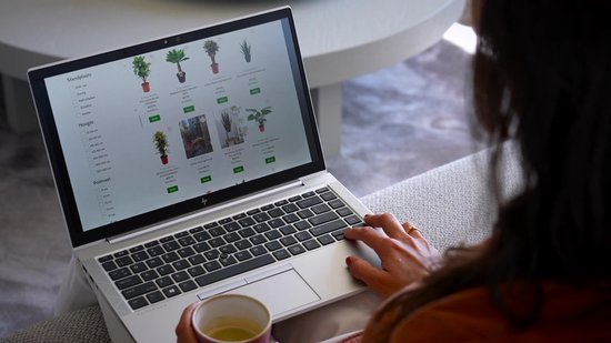 Plant in a Box - Adenium Obesum - Set van 2 - Bloeiende Woestijnrozen ...