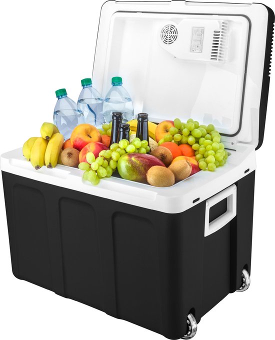 TZS First Austria Elektrische Koelbox - 45L - 12V en 230 volt - Frigobox -Koelen en... | bol