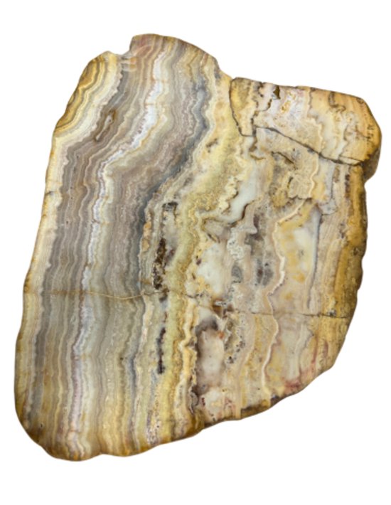 Roze Chalcedoon in versteend houten schijf nr.03 | bol