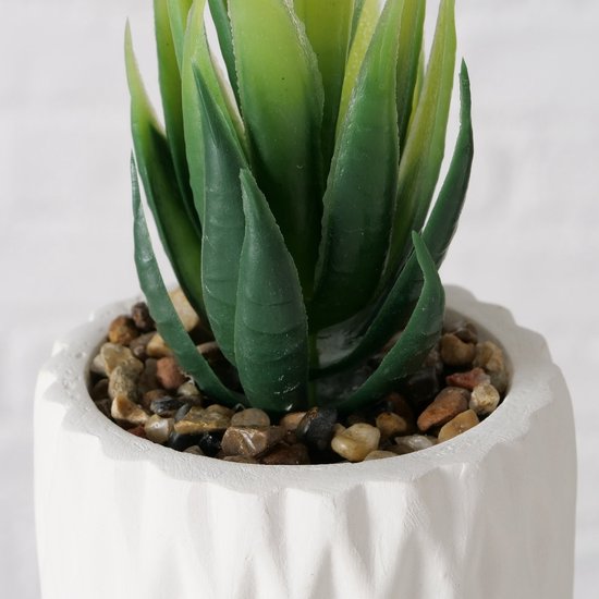 Boltze Home Kunstplant vetplant in stenen pot wit H15cm B7cm | bol