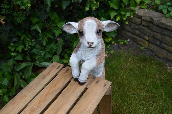 Geit beeld voor buiten en binnen – bruin wit geitbeeldje 45 cm ...