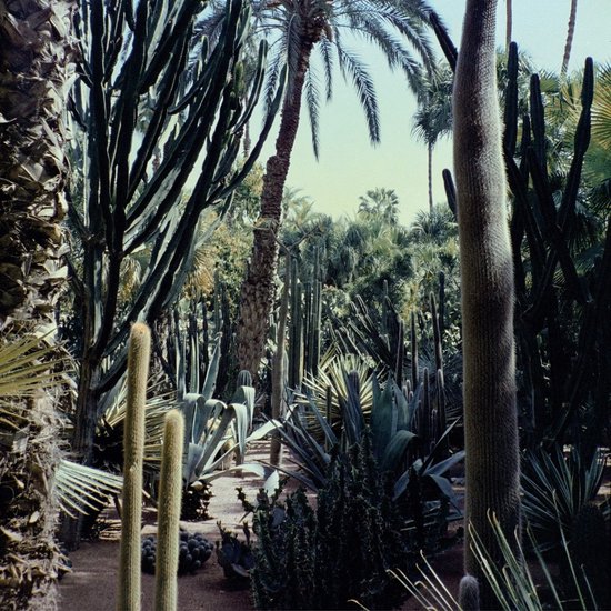 Three Body, Three Body | LP (album) | Muziek | bol