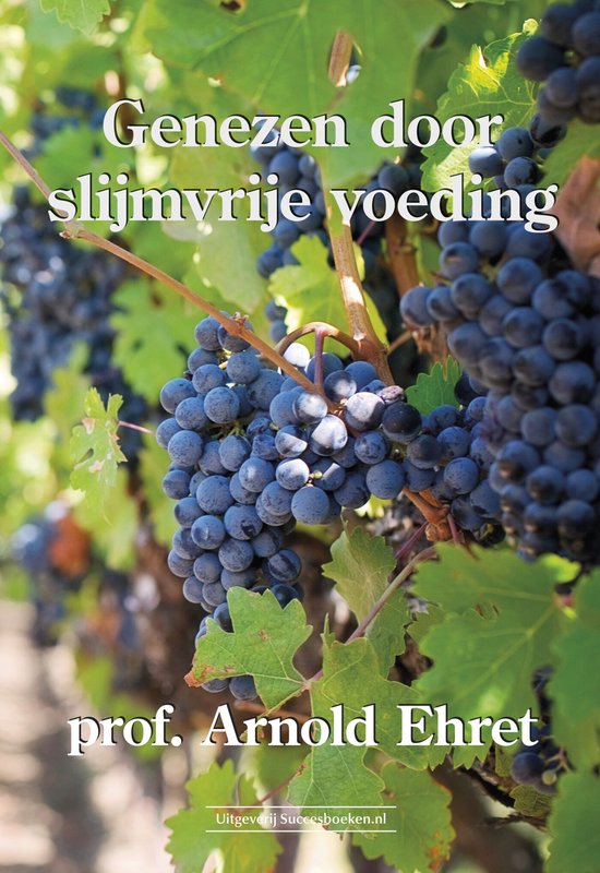 Genezen door slijmvrije voeding | 9789492665799 | Arnold Ehret | Boeken ...