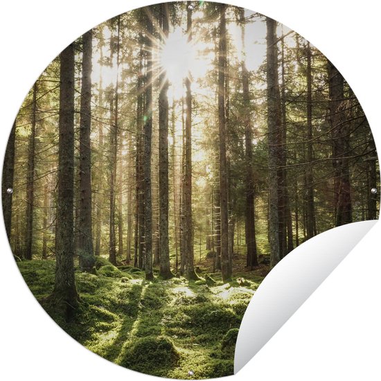 Tuincirkel Bos - Mos - Boom - 120x120 cm - Ronde Tuinposter - Buiten ...