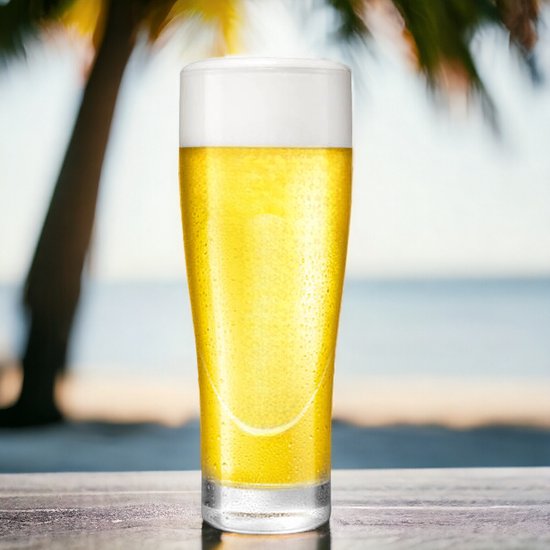 Professionele Bierglazen - (6 stuks) - 250ml - Bierglas - Bier - Glas - 25cl/0.25L -... | bol