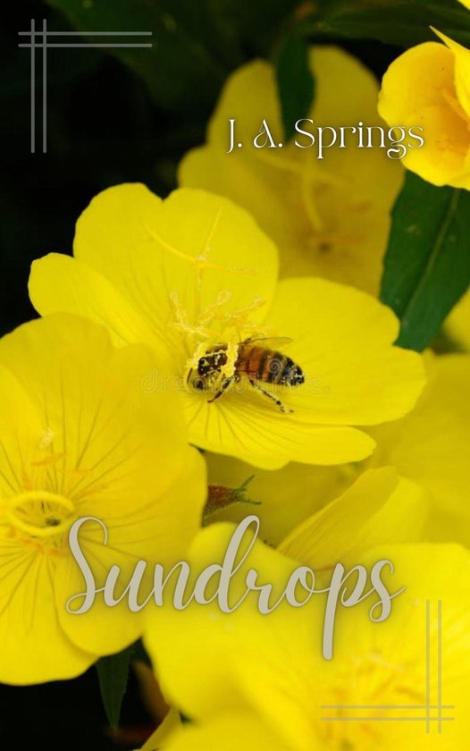 Sundrops (ebook), J. A. Springs | 9798989862207 | Boeken | bol