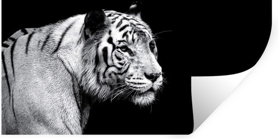 Muurstickers - Sticker Folie - Tijger - Wilde dieren - Licht - 160x80 cm - Plakfolie -... | bol