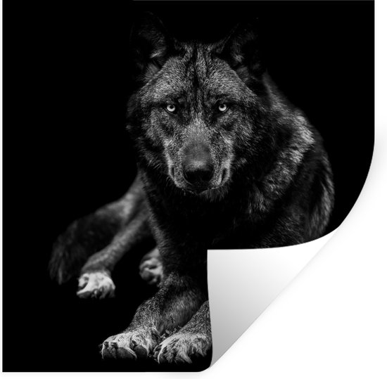 Muurstickers - Sticker Folie - Dieren - Wolf - Zwart - Wit - Portret - 120x120 cm -... | bol