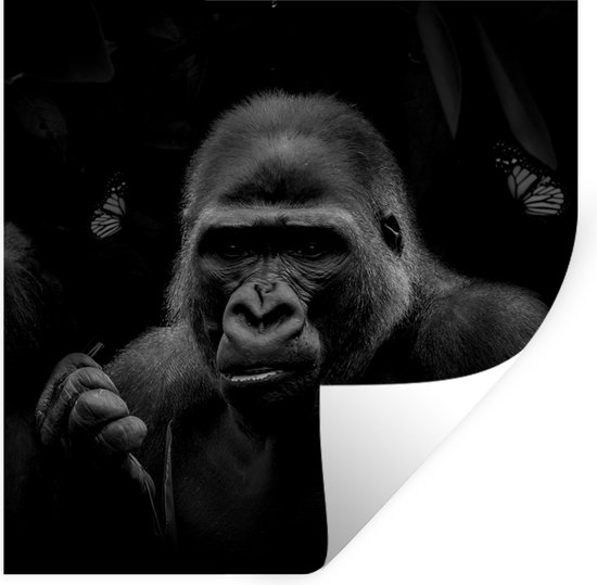 Muurstickers - Sticker Folie - Vlinders - Aap - Jungle - Zwart - Wit - 30x30 cm -... | bol