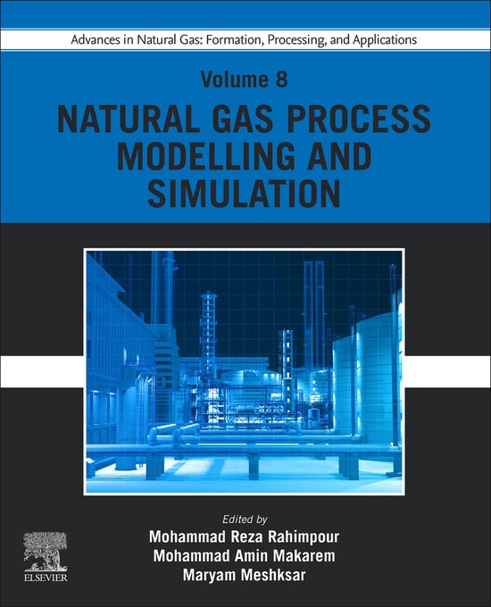 Advances in Natural Gas: Formation, Processing, and Applications ...