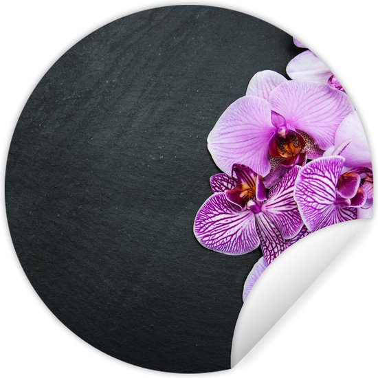 WallCircle - Muurstickers - Behangcirkel - Orchidee - Bloemen - Roze - Flora - ⌀ 120... | bol