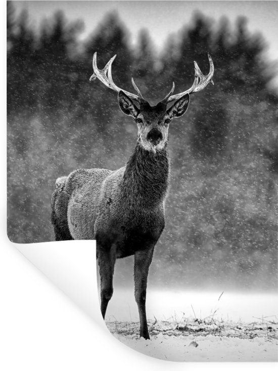 Muurstickers - Sticker Folie - Dieren - Hert - Winter - Zwart - Wit - 30x40 cm -... | bol