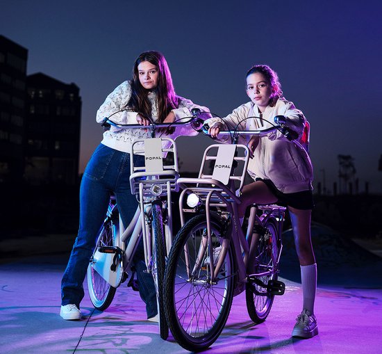 Popal Daily Dutch Basic+ - Fiets | bol