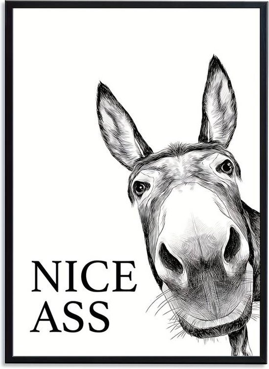 Poster Nice Ass voor badkamer of toilet 30 x 20 cm - zonder lijst | bol