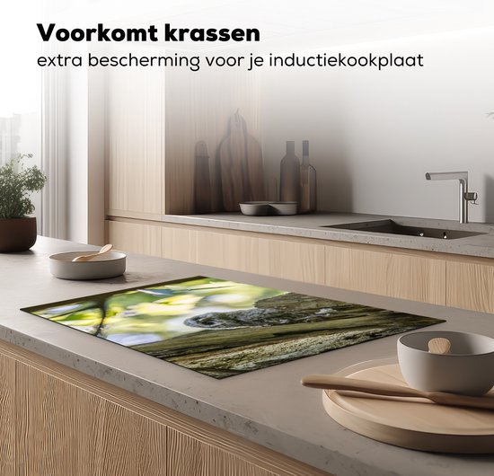 KitchenYeah® Inductie beschermer 78x52 cm - Uil in een boom in het bos ...