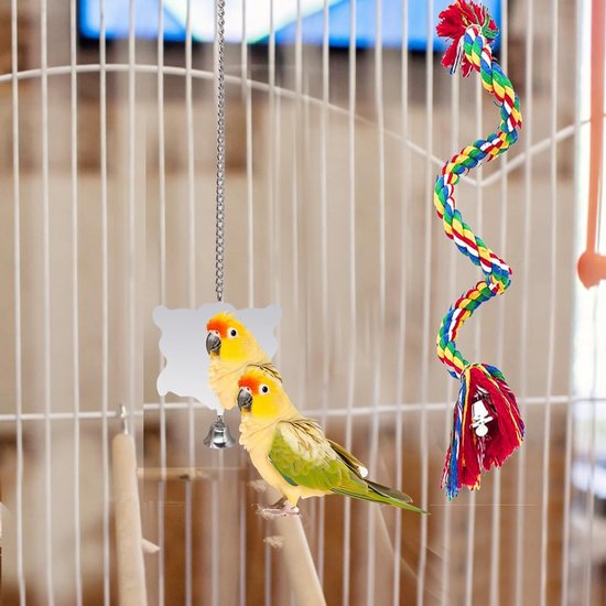 Papegaai Swing Speelgoed, 8PCS Vogel Kauwen Speelgoed, Vogels Kooi Speelgoed Geschikt... | bol