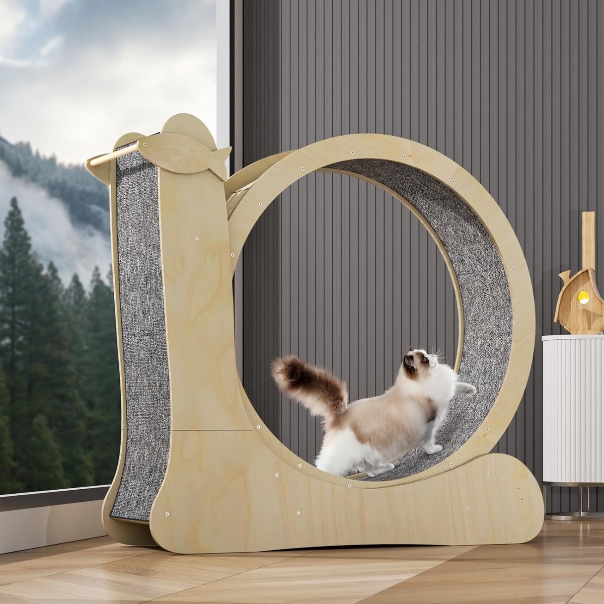 Loopwiel kat - Katten loopwiel - Looprad kat - Kattenwiel - Looprad ...