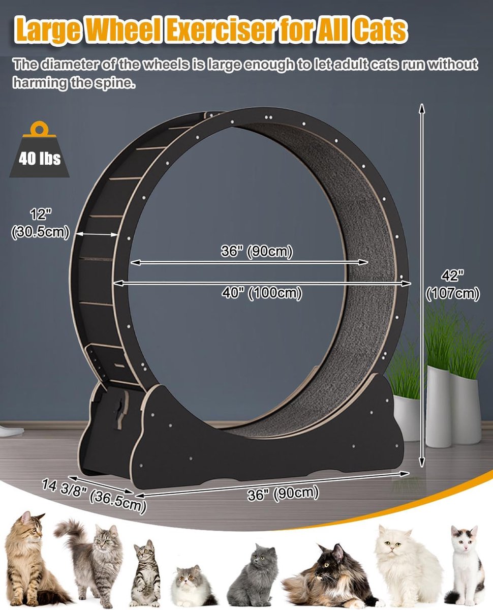 Loopwiel kat - Katten loopwiel - Looprad kat - Kattenwiel - Looprad ...