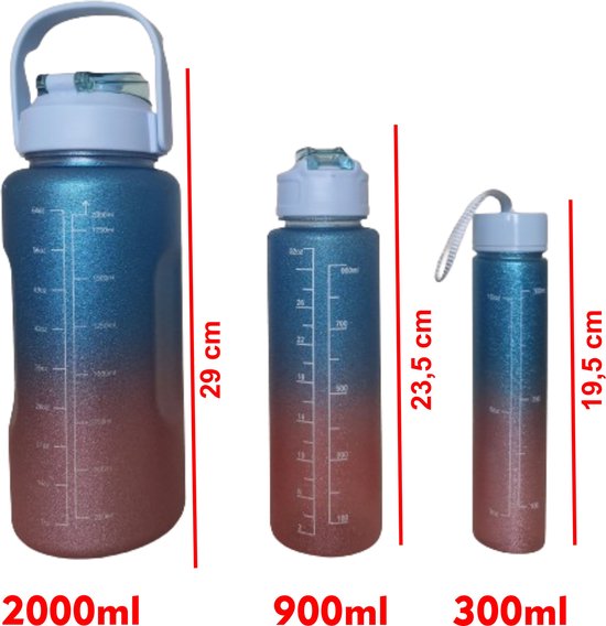 Blauwroze set van 3 waterflessen, set van 3 Bpa-vrije motiverende ...